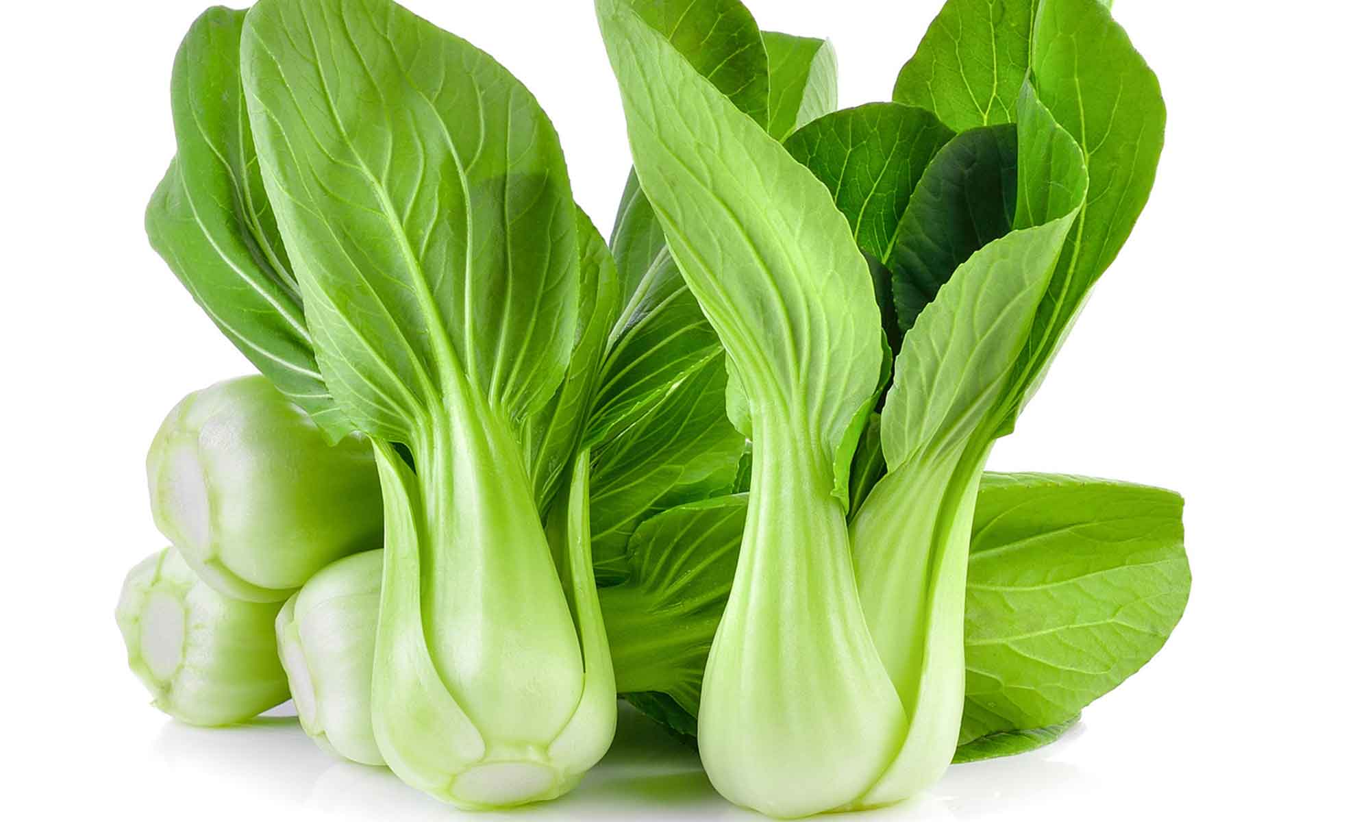 Bokchoy | Veg2Table